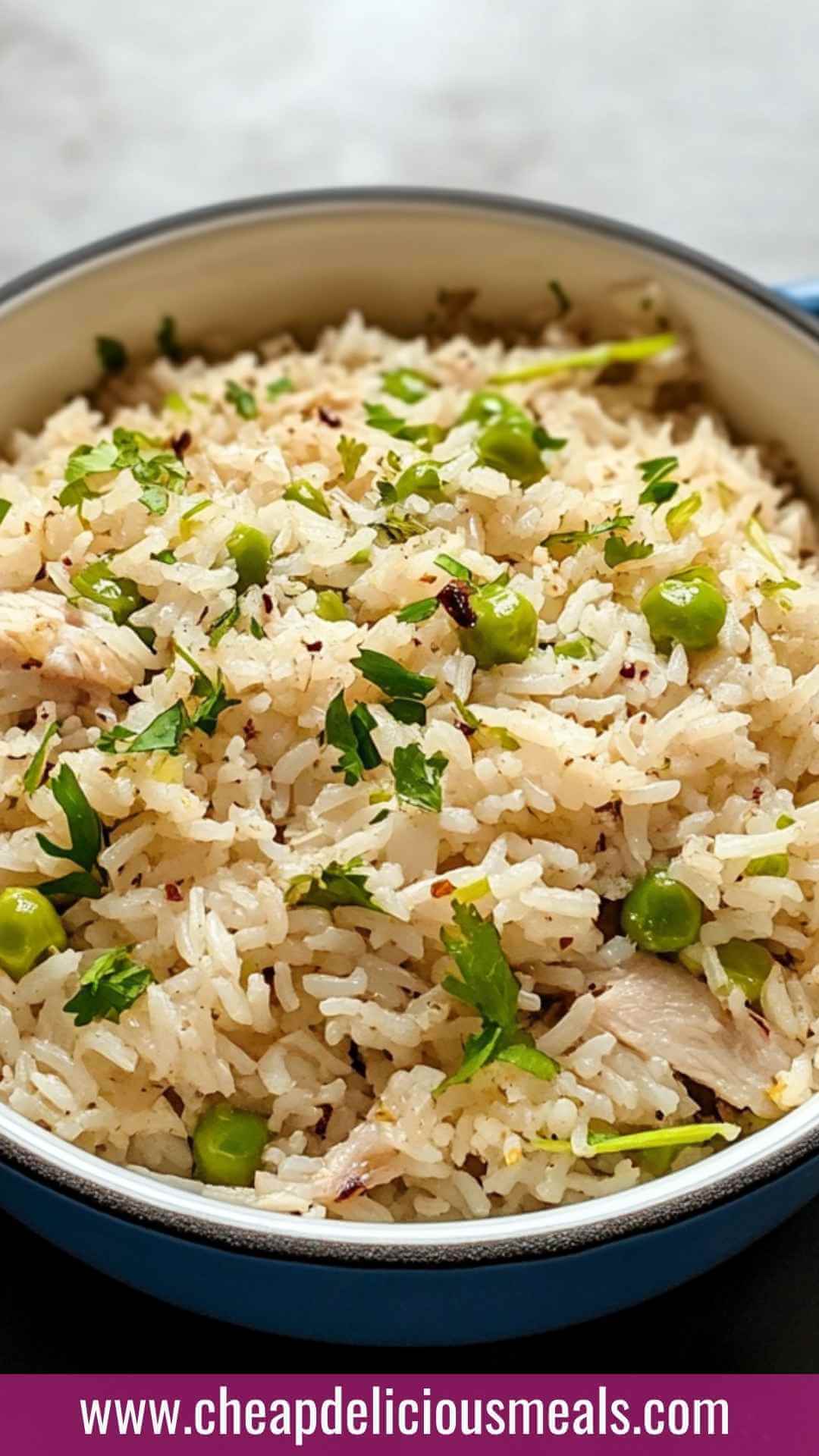 Boiled Chicken and Rice Recipe - Cheap Delicious Meals